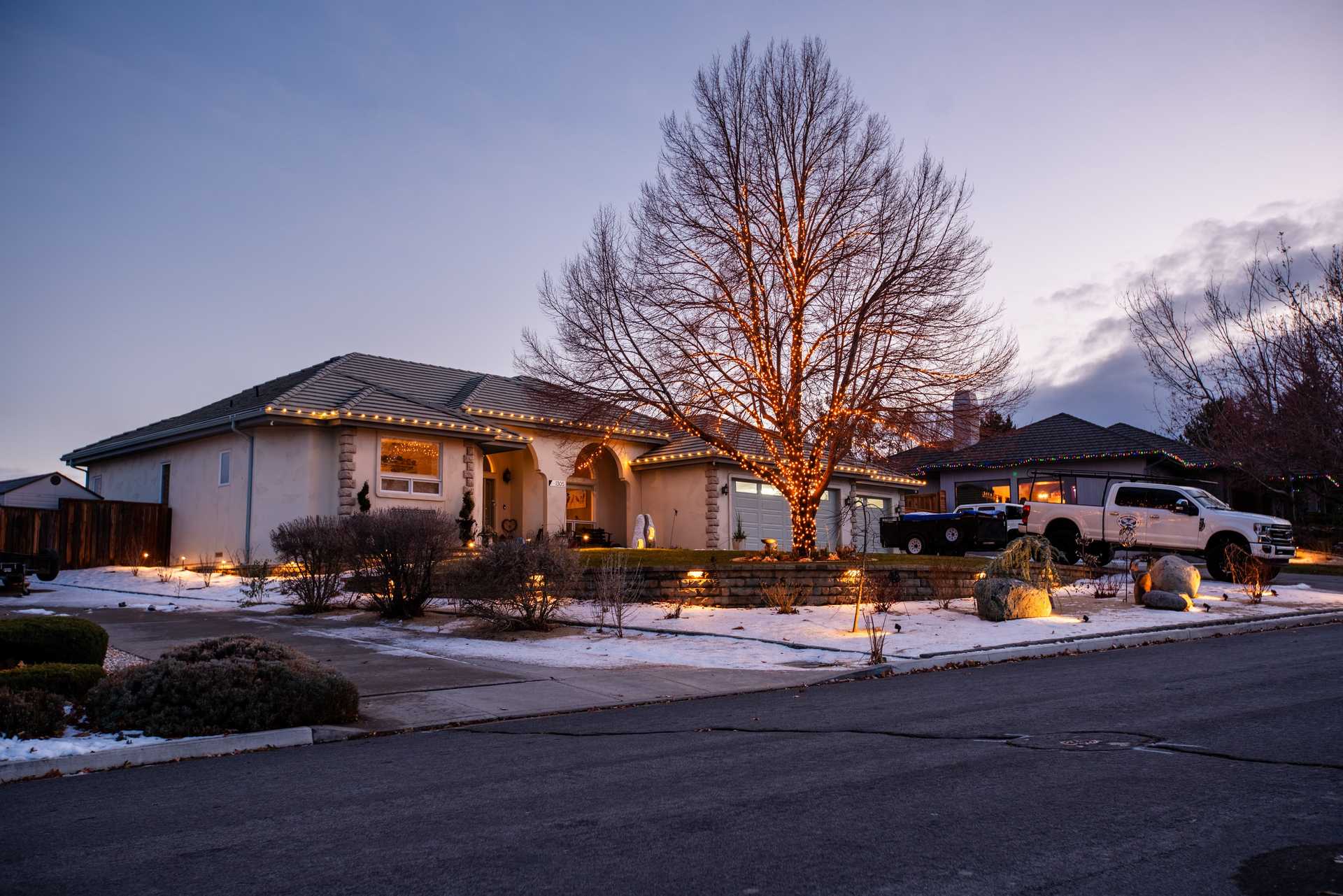 XL Trees christmas light installation | Sierra Lighting